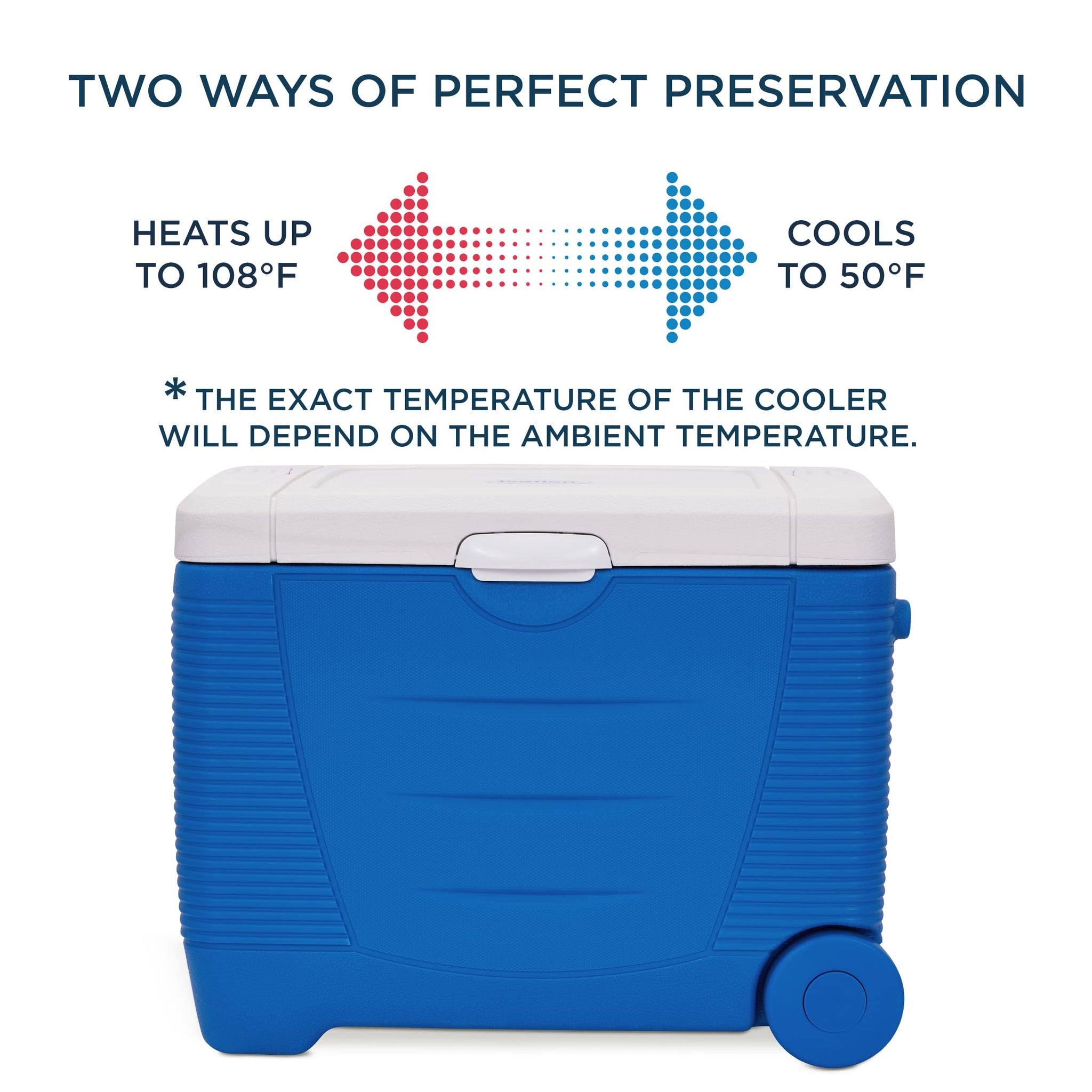 Ivation Electric Cooler & Warmer, 48 L Portable Thermoelectric 12 Volt ...
