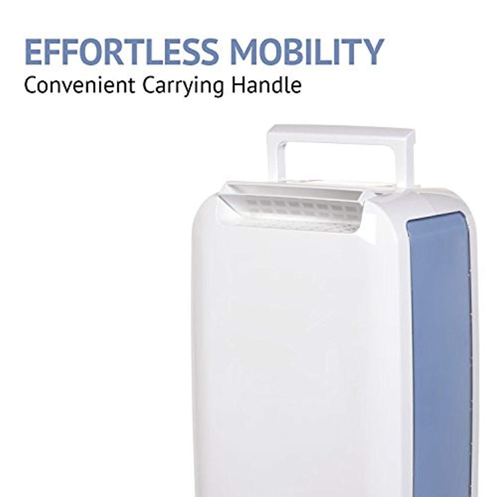 13 Pint Dehumidifier, With Continuous Drain Hose – Ivation Products